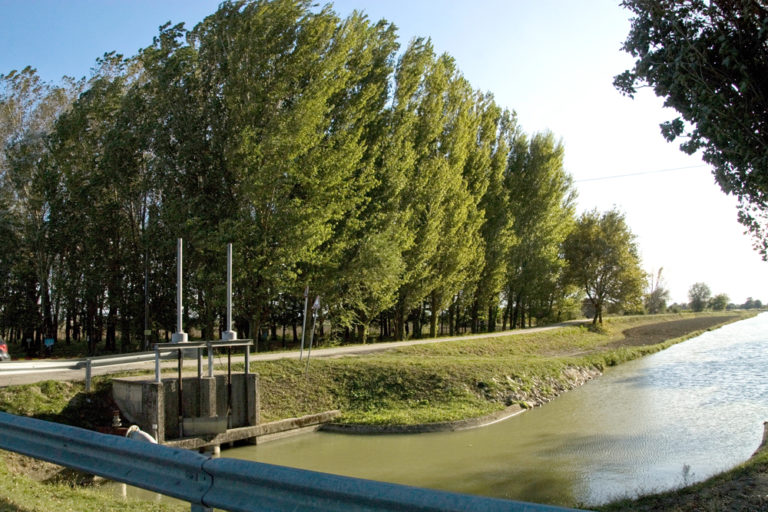 Alfonsine | Bassa Romagna Mia