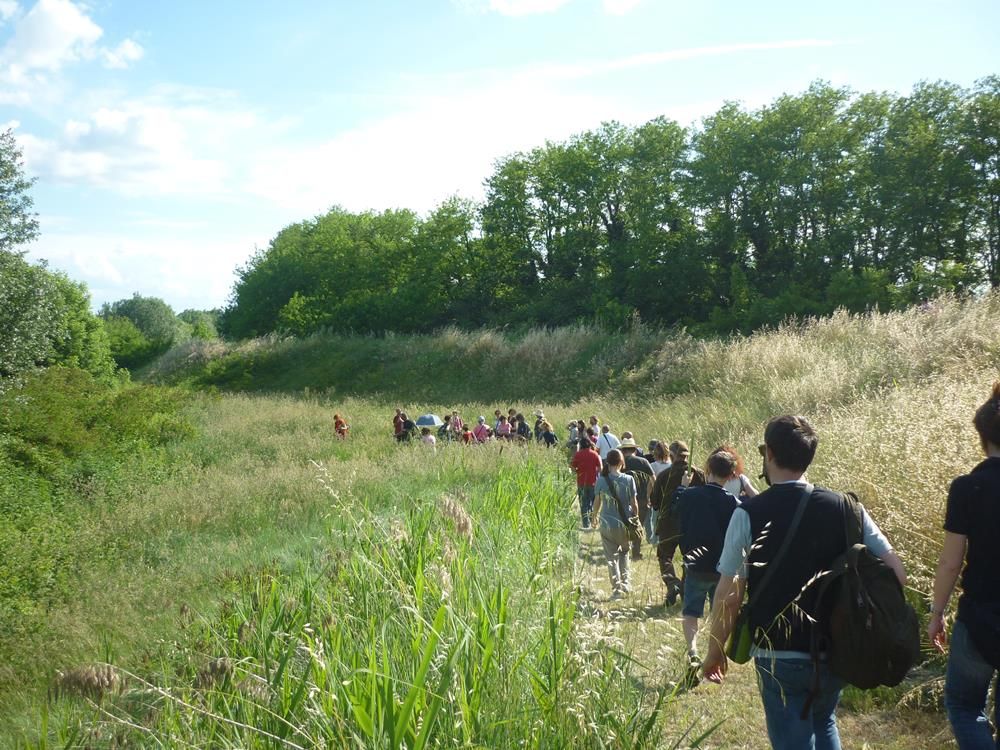 THE FRONT LINE ON THE RIVER SENIO | Bassa Romagna Mia