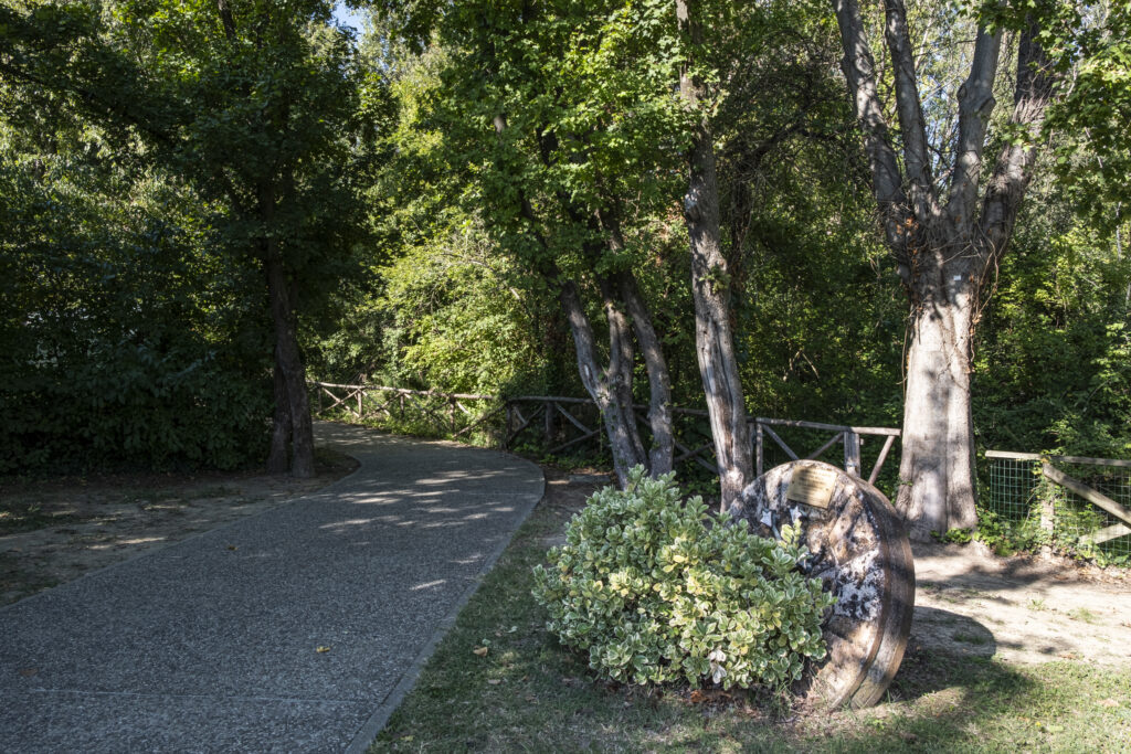 Passeggiata sensoriale tra gli alberi | Bassa Romagna Mia